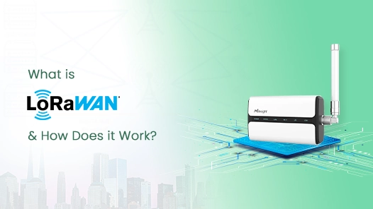 What is LoRaWAN and How it Works? | Forest Rock